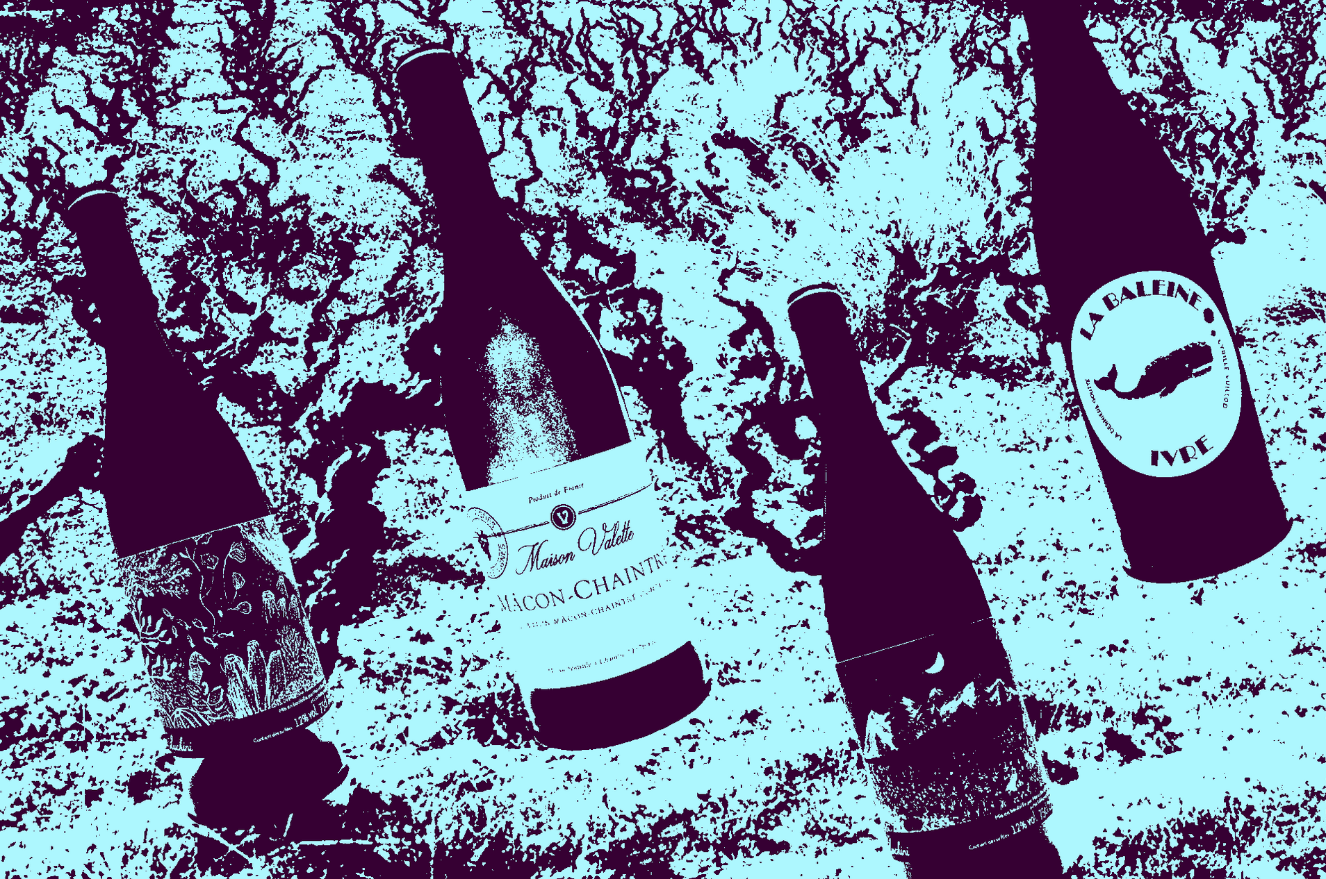 What to drink in January — Highbury Library