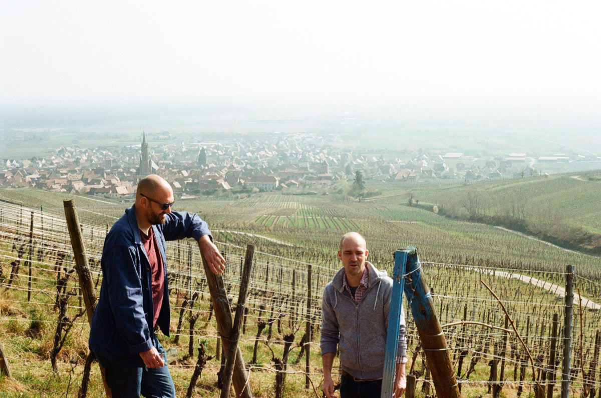 New arrivals from Domaine Schaeffer Woerly in Alsace — Highbury Library