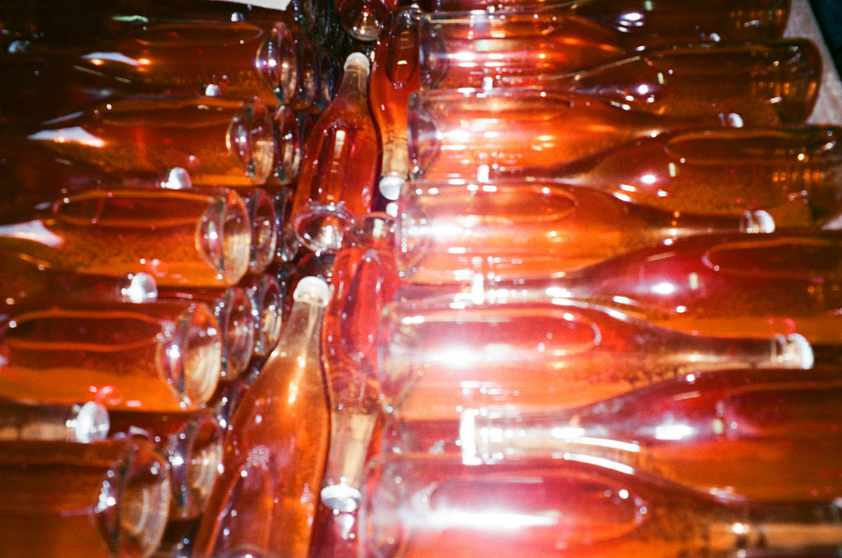 Highlights from La Dive 2023 — Highbury Library