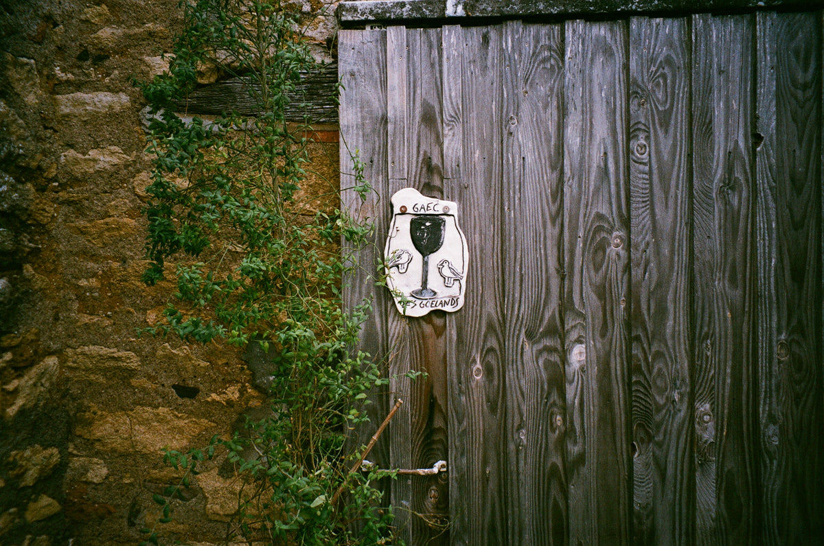 A Visit to Philippe Delmee / Les Goelands — Highbury Library