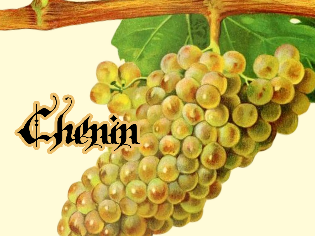 Chenin Blanc - A Celebration of Pineau de Loire! — Highbury Library