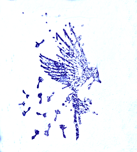 New Domaine Dandelion Releases — Highbury Library