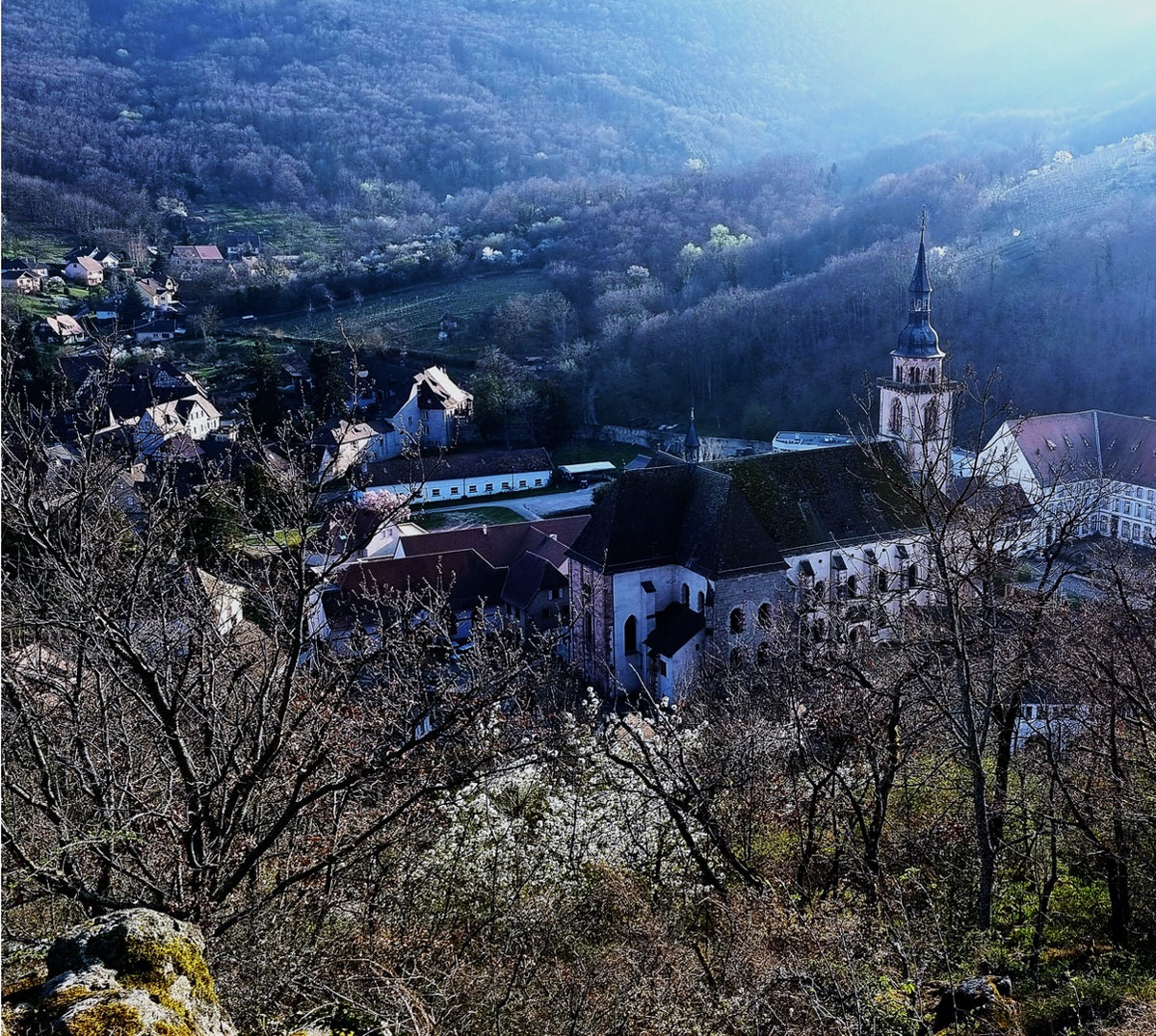 Grand Cru Rieslings from Yann Durrmann in Alsace — Highbury Library