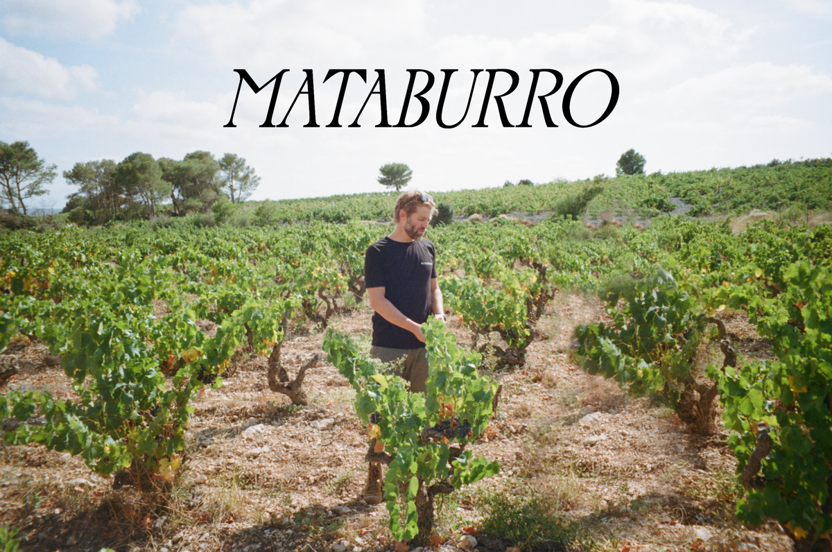 A Guide to the Wines of Mataburro — Highbury Library