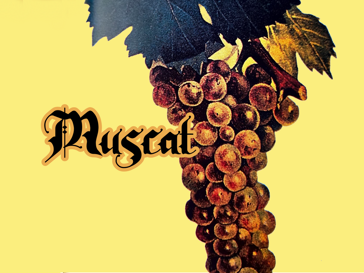 5 Muscats to Drink Before the End of Summer — Highbury Library