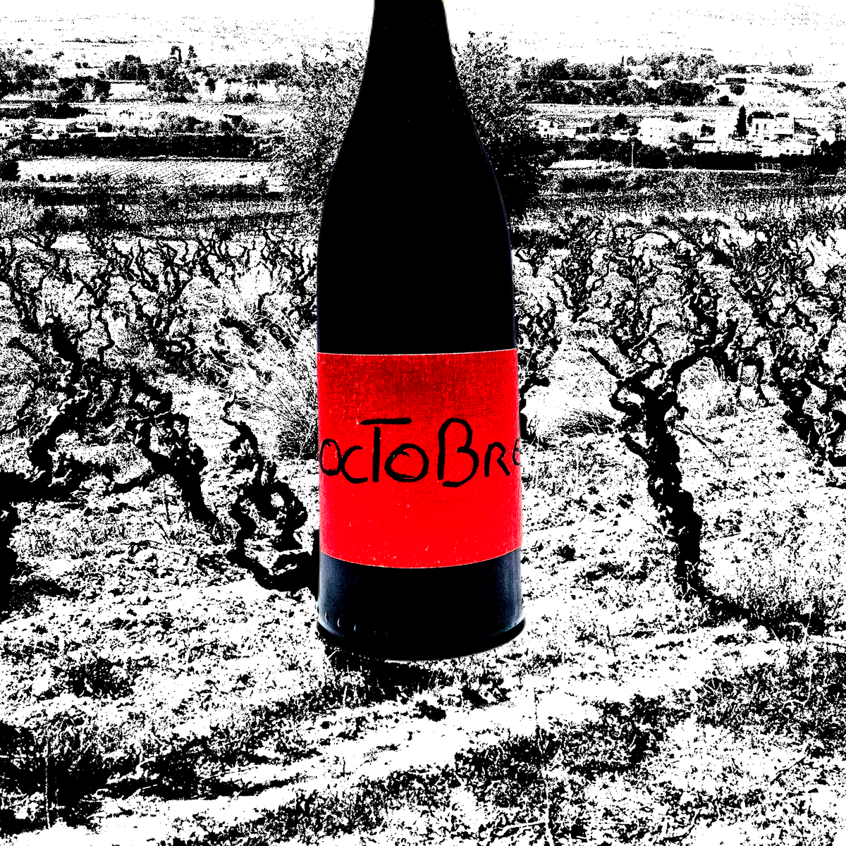 Octobre 2024 — Highbury Library