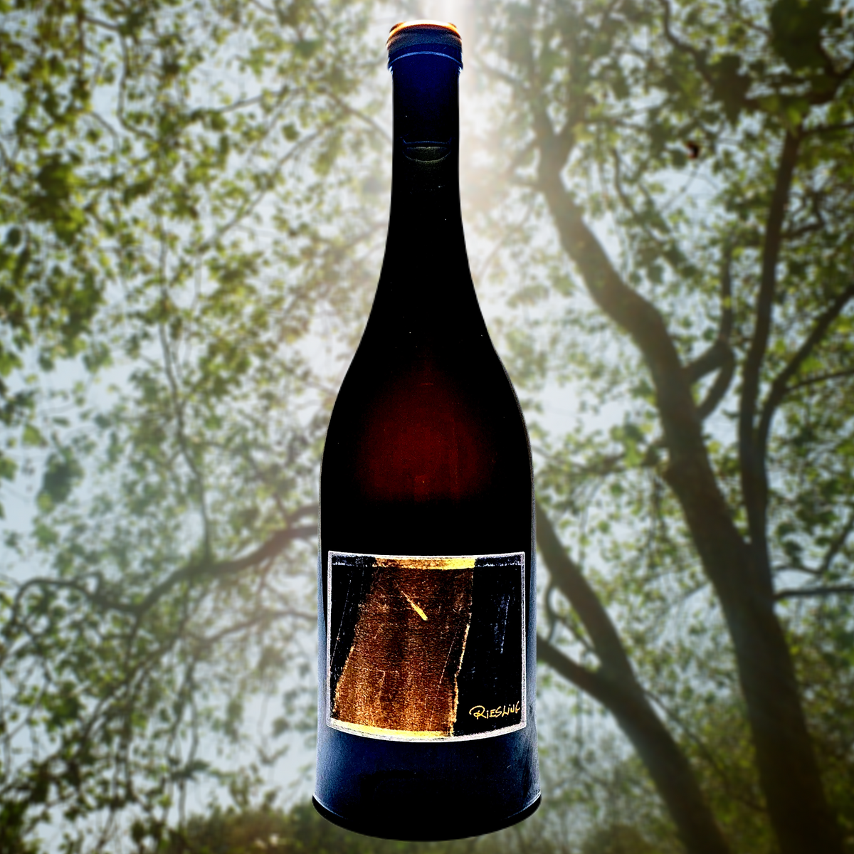 Bencze is Back! — Highbury Library