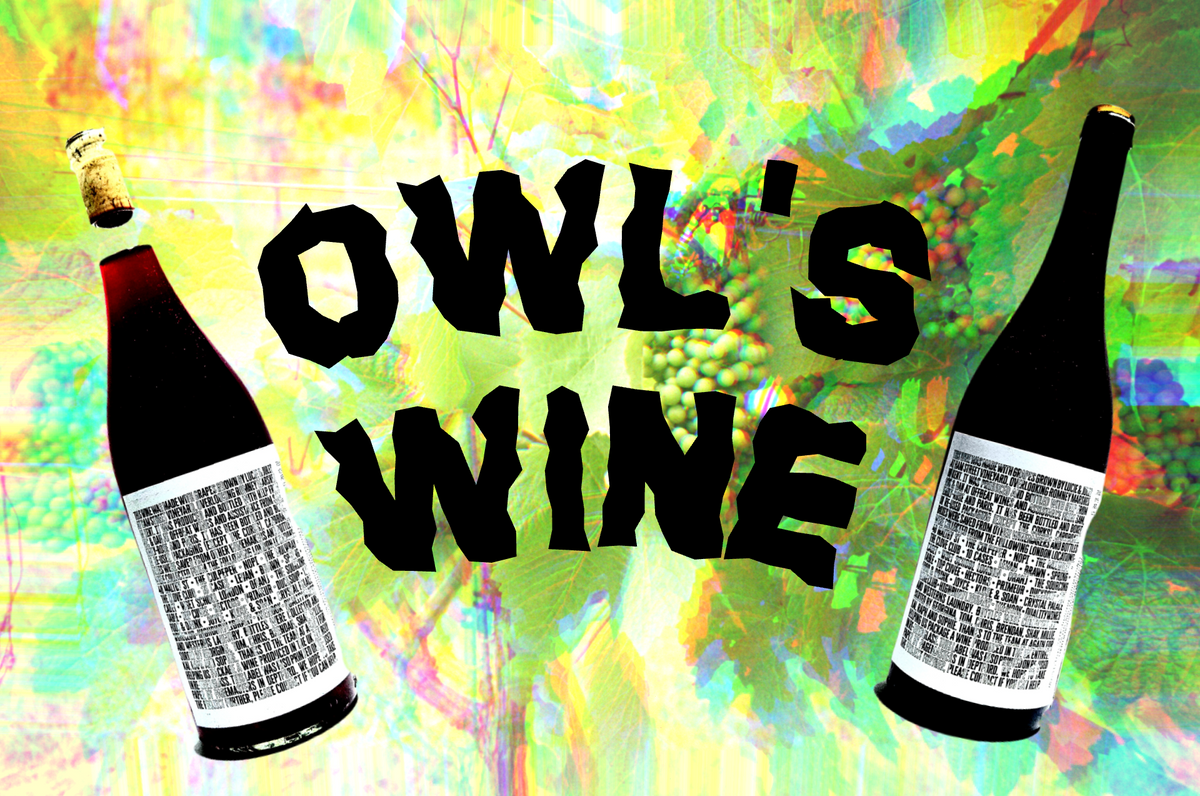The Owl Has Landed — Highbury Library