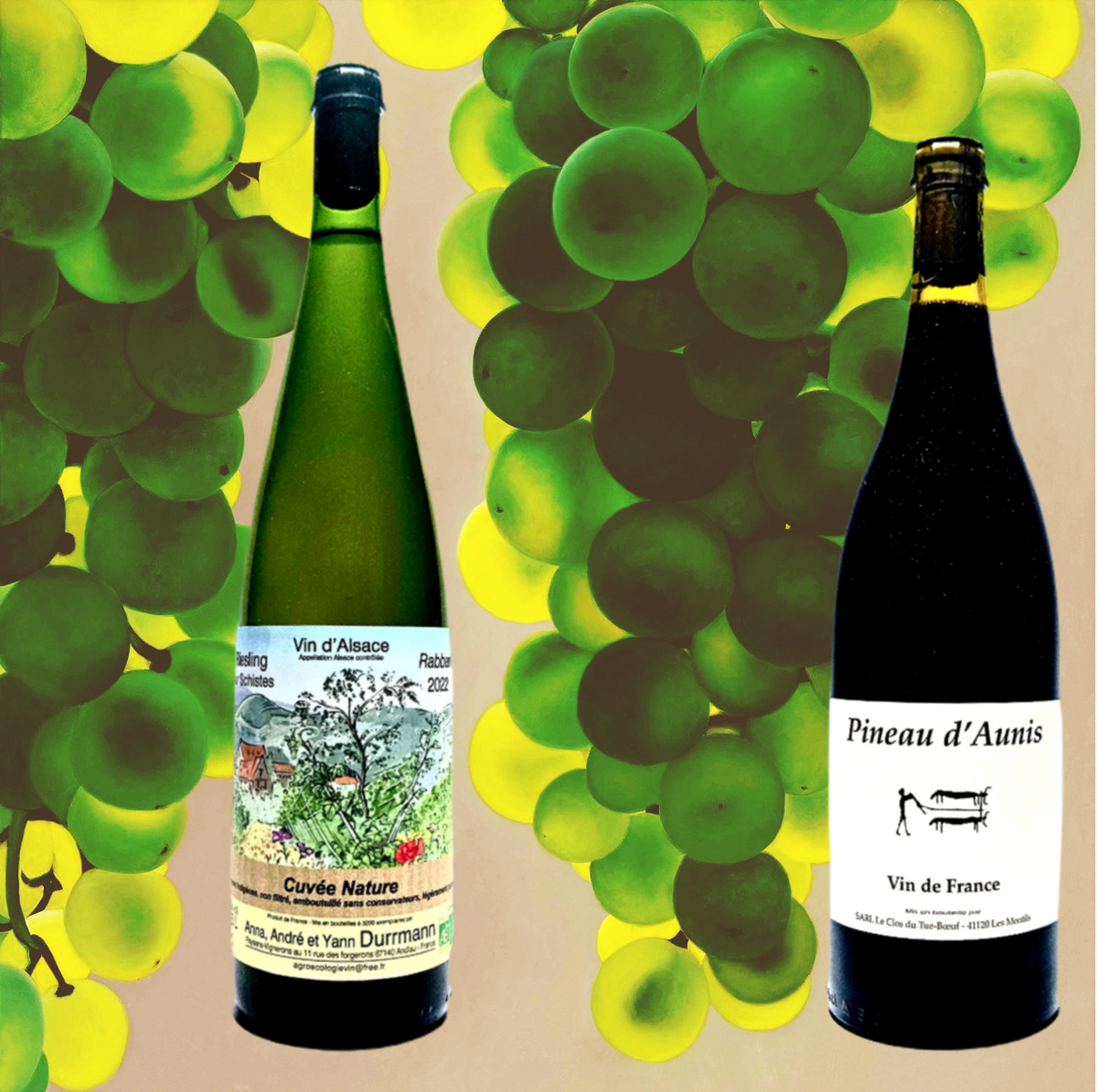 Wine Club 021 Winners — Highbury Library