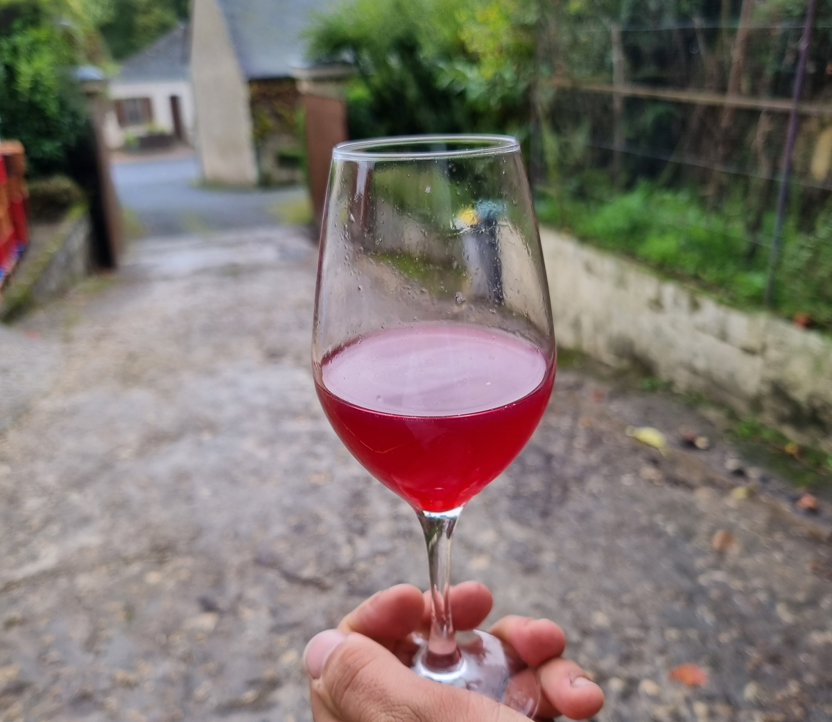 My Favourite Wines for £25 and Under — Highbury Library