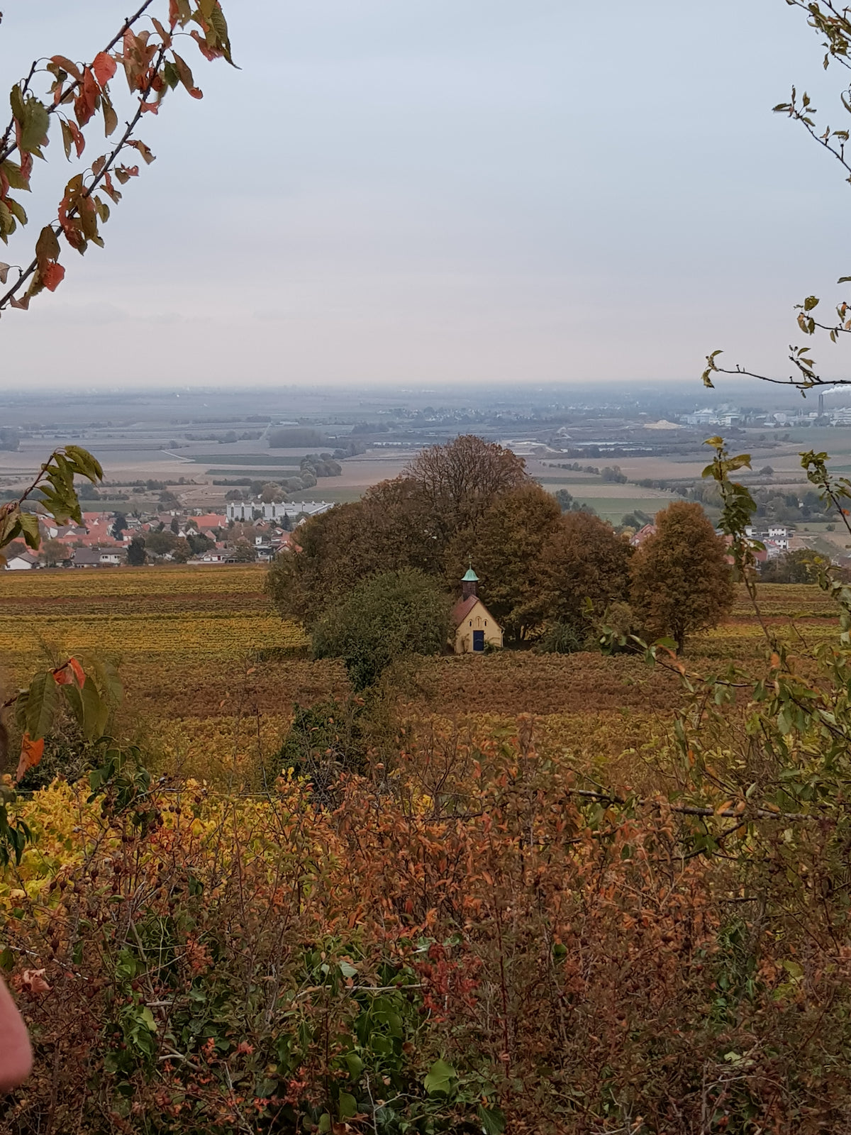 The Brand Brothers — Highbury Library