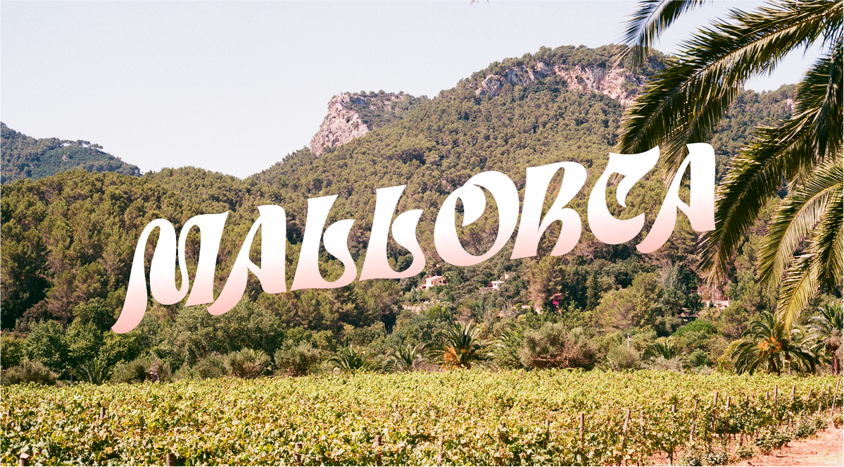 Organic Natural Wines of Mallorca / Majorca | Highbury Library