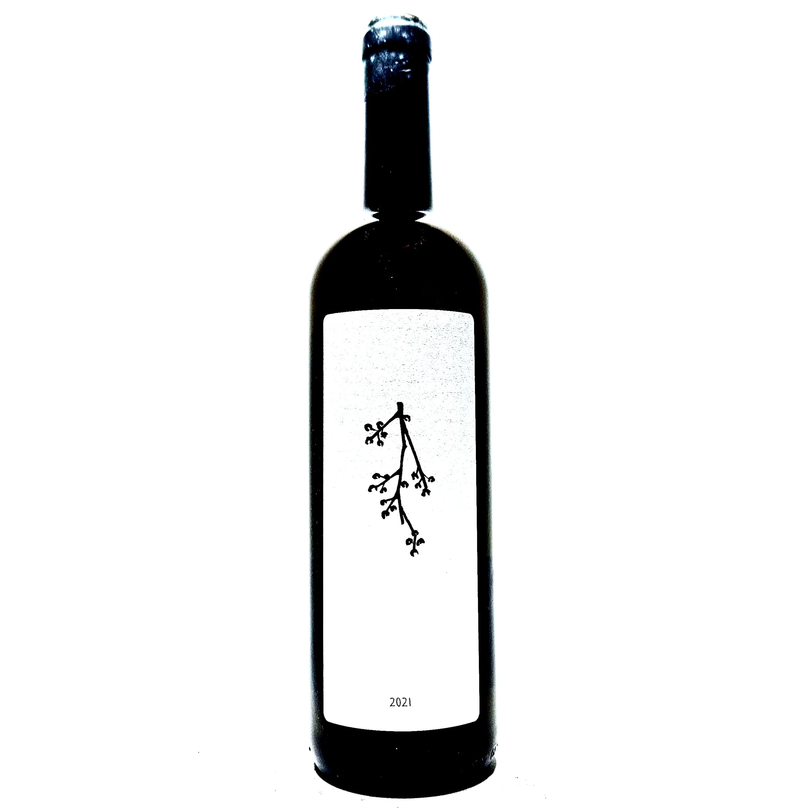 Grillo Bianco 2021 | Manlio Manganaro | Natural Orange Wine — Highbury ...