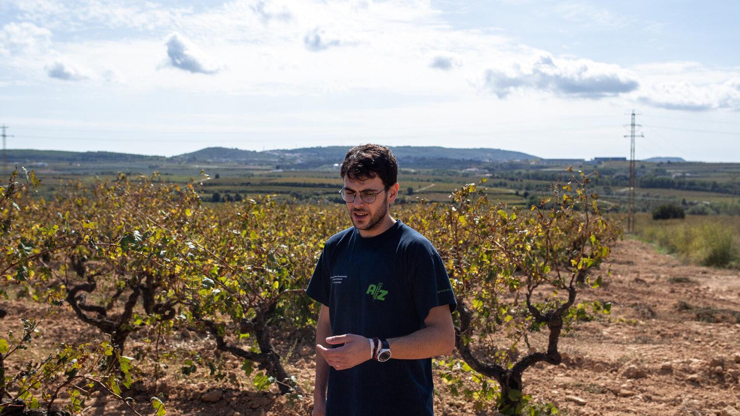 Organic Wine! Biodynamic Wine! Natural Wine! All with UK delivery ...